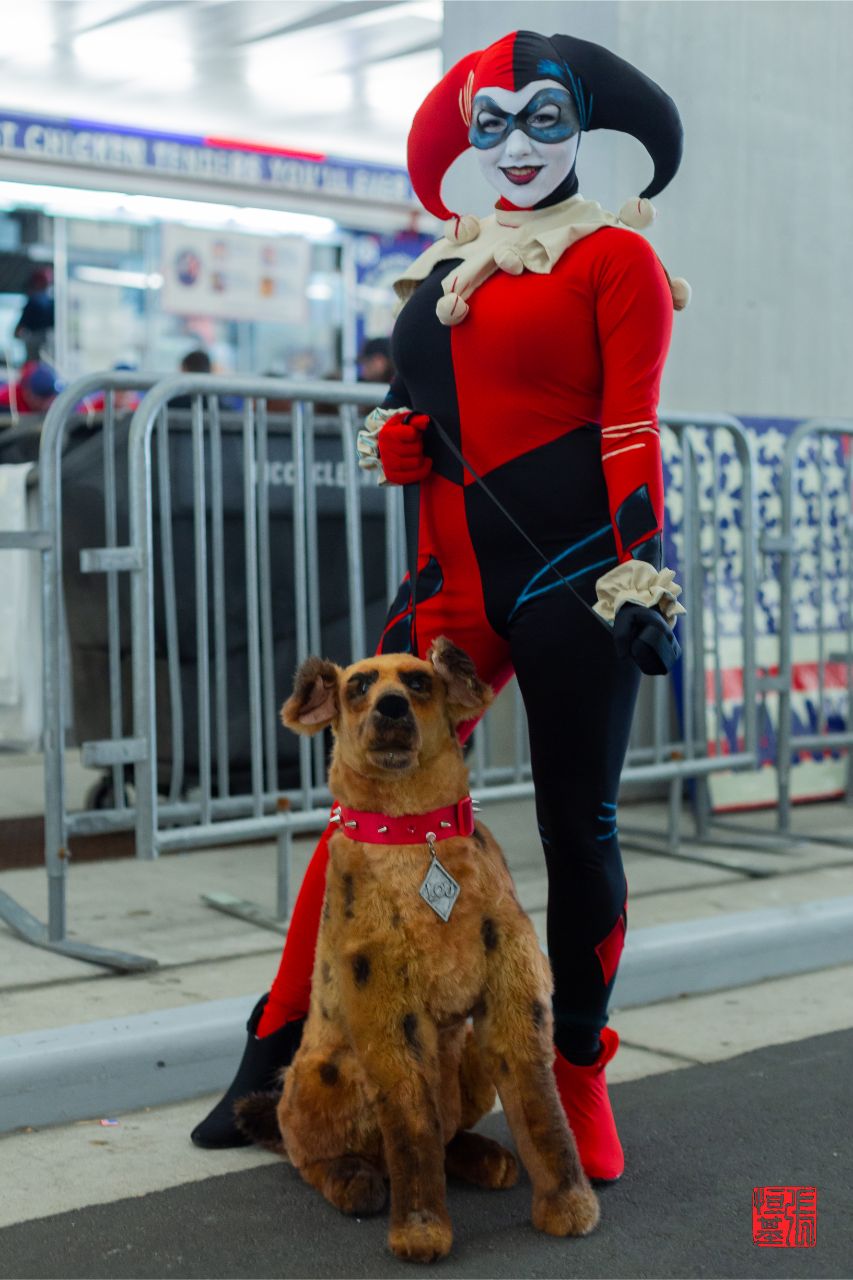 Harley Quinn by Danielle_Pierson – Food and Cosplay