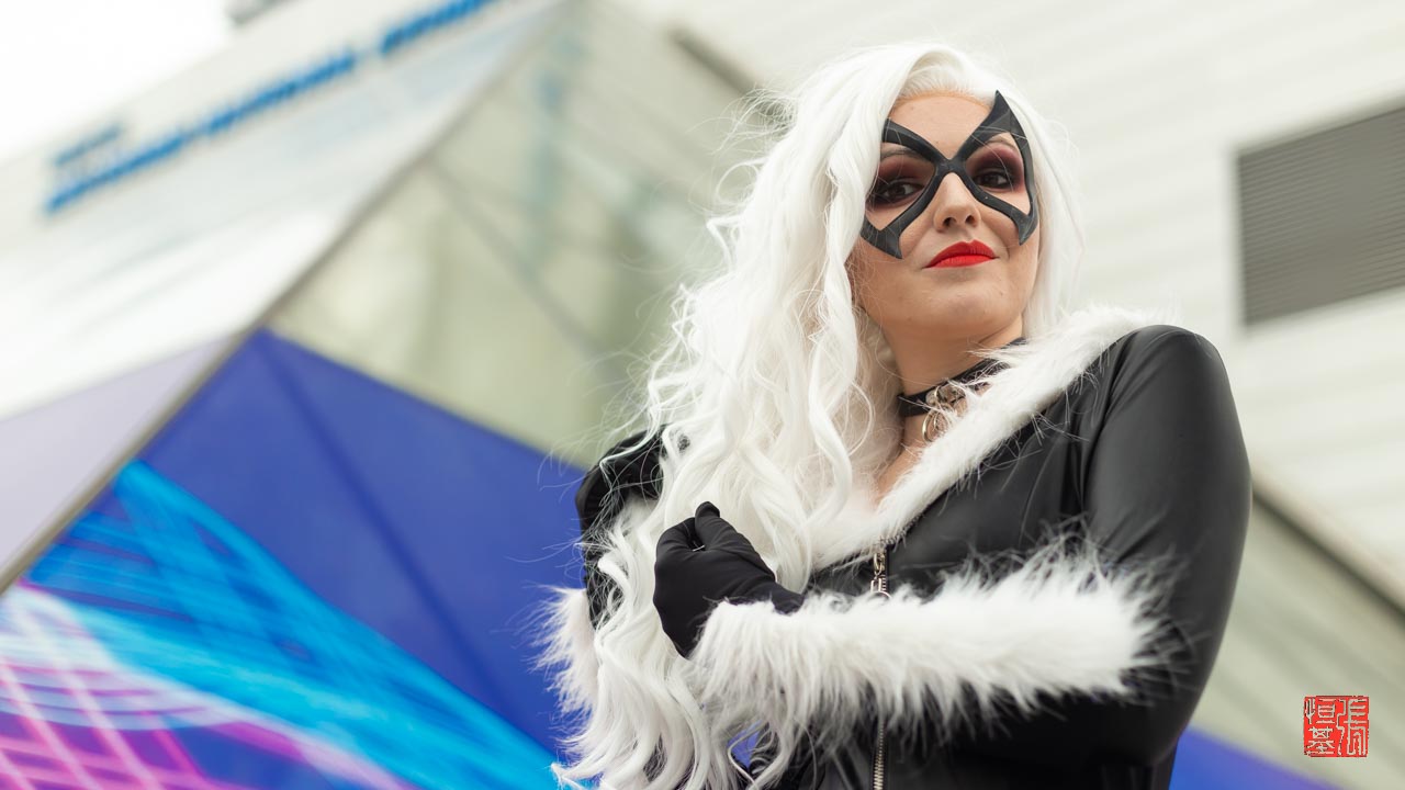 Black Cat (Felicia Hardy) by mistress.of.mischief_ – Food and Cosplay